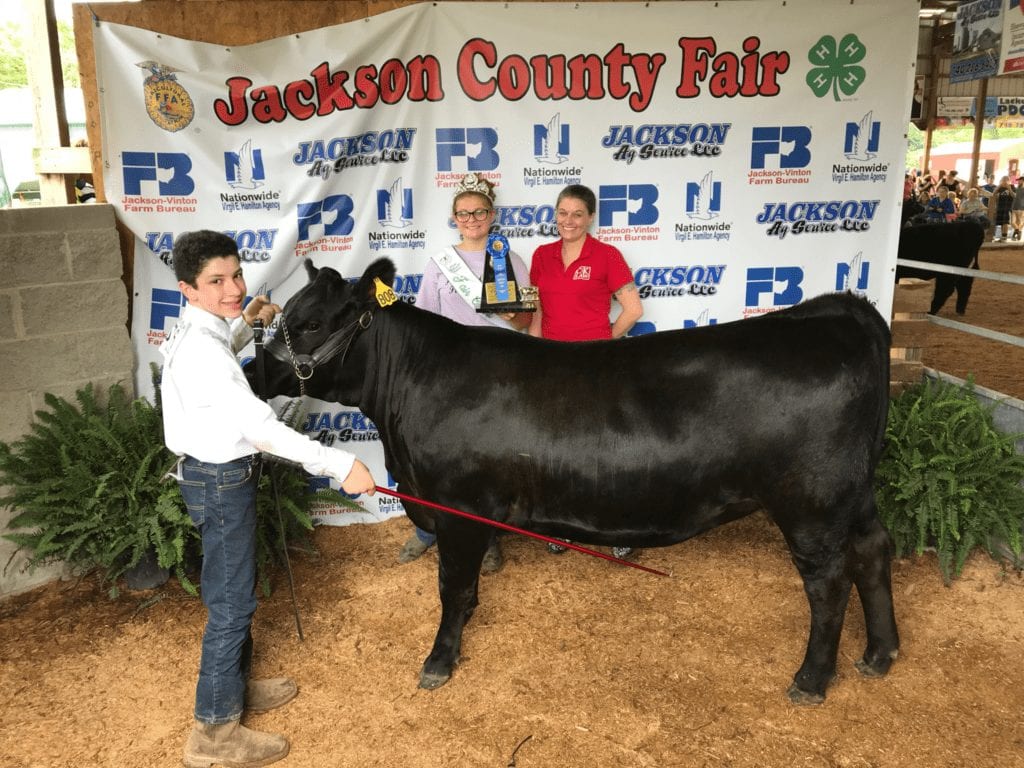 Slate Run Lass 808 | Slate Run Angus