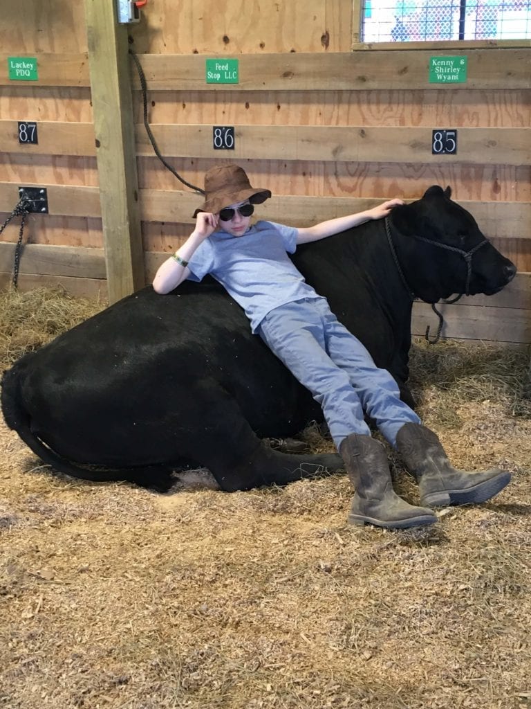 About Our Angus | Slate Run Angus